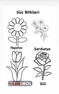 Çevremizdeki Bitkiler Boyama · Eduhol - Etkinlik İndir Oyun Oyna Test ...