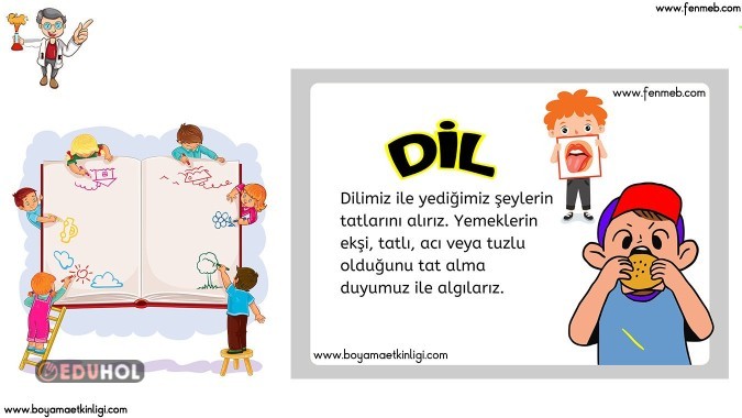 Duyu Organımız Dil · Eduhol - Etkinlik İndir Oyun Oyna Test Çöz Video İzle