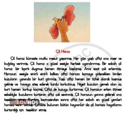 Çil Horoz Okuma-Anlama Metni · Eduhol - Etkinlik İndir Oyun Oyna Test ...