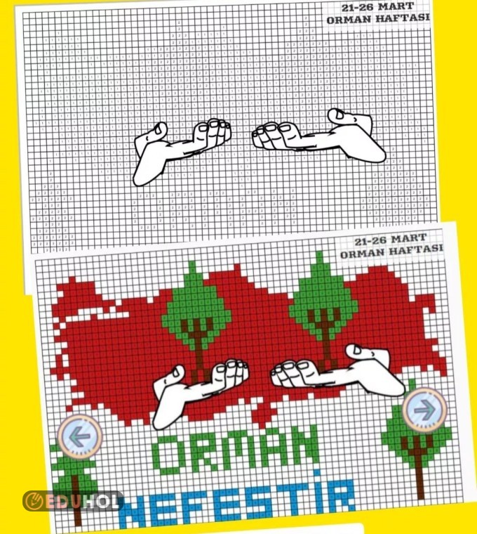 Orman Haftası Kare Kodlama Boy... | Eduhol - Ders Videoları İzle Online ...