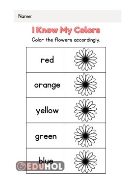 Color The Flowers · Eduhol - Etkinlik İndir Oyun Oyna Test Çöz Video İzle