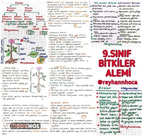 Arama Sonuçları | Eduhol - Ders Videoları İzle Online Test Çöz Etkinlik ...