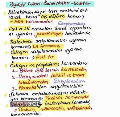 Arama Sonuçları | Eduhol - Ders Videoları İzle Online Test Çöz Etkinlik ...