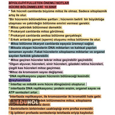 Arama Sonuçları · Eduhol - Etkinlik İndir Oyun Oyna Test Çöz Video İzle