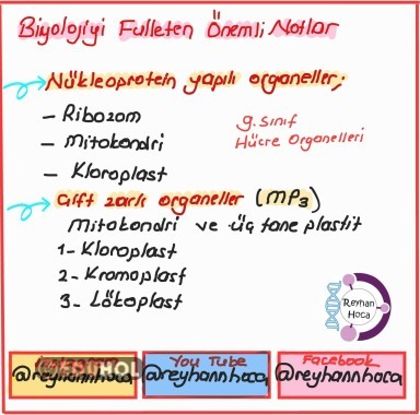 Arama Sonuçları · Eduhol - Etkinlik İndir Oyun Oyna Test Çöz Video İzle