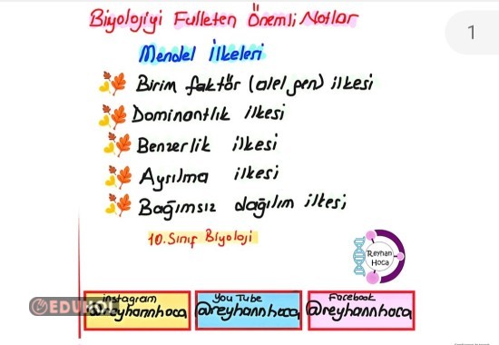 Arama Sonuçları · Eduhol - Etkinlik İndir Oyun Oyna Test Çöz Video İzle