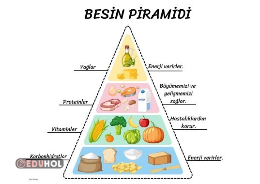 Besin Piramidi Pano Veya Defte... · Eduhol - Etkinlik İndir Oyun Oyna ...