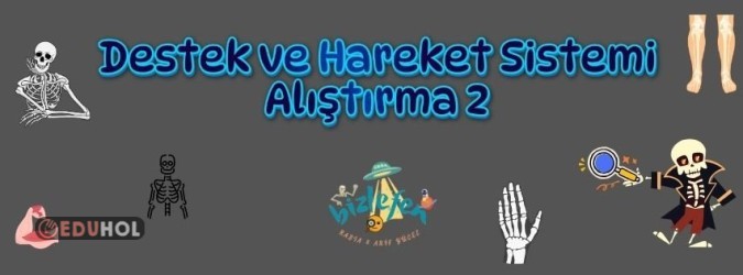 Destek Ve Hareket Sistemi Alış... · Eduhol - Etkinlik İndir Oyun Oyna ...