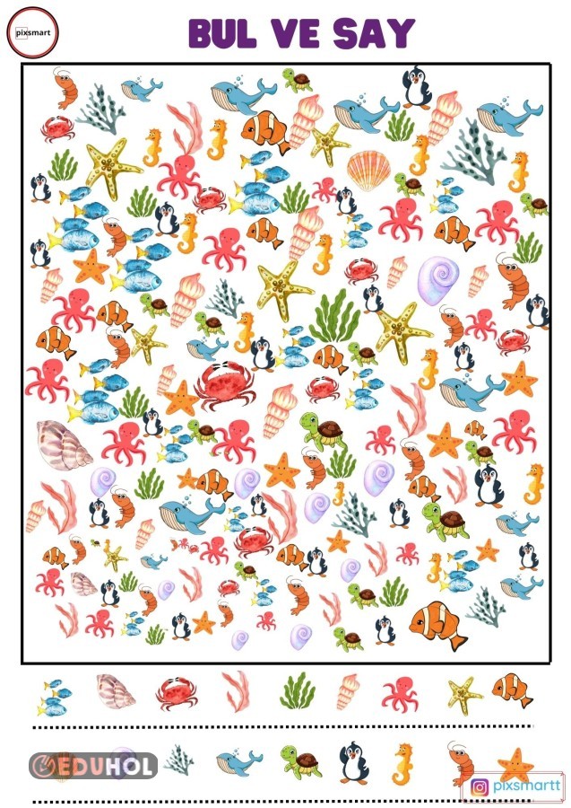Bul Ve Say Etkinliği-Deniz Can... | Eduhol - Ders Videoları İzle Online ...