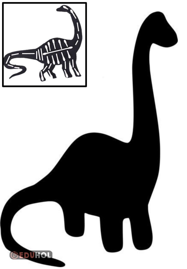 Dinazor İskelet Sistemi Etkinl... | Eduhol - Ders Videoları İzle Online ...