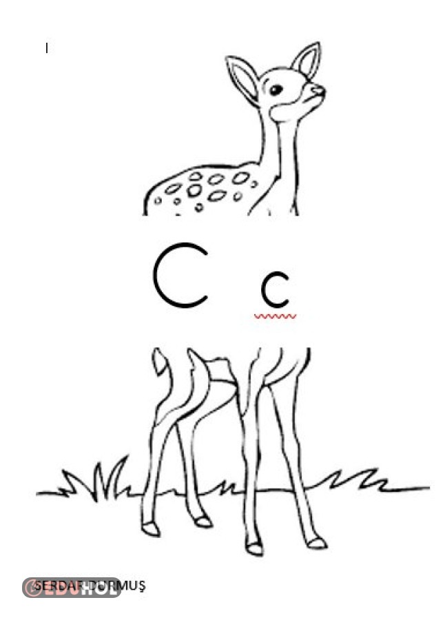 'C' Sesi Ceylan Boyama | Eduhol - Ders Videoları İzle Online Test Çöz ...