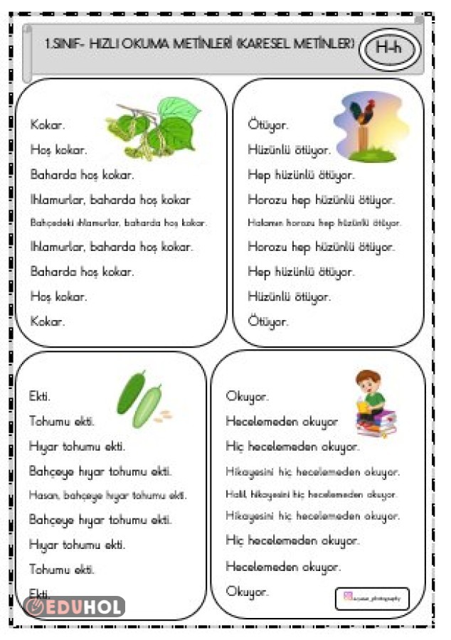 5.Grup Harfler Karesel Metinle... | Eduhol - Ders Videoları İzle Online ...