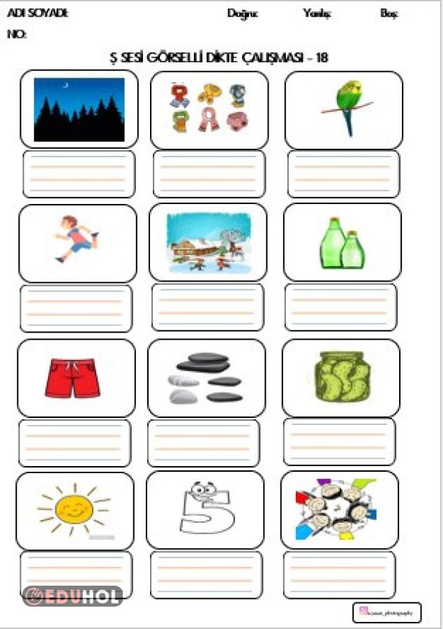 Görselli Dikte Çalışması-18 (Ş... | Eduhol - Ders Videoları İzle Online ...