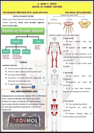 Destek Ve Hareket Sistemi Konu... · Eduhol - Etkinlik İndir Oyun Oyna ...