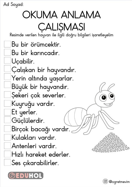 Okuma Anlama Çalışması | Eduhol - Ders Videoları İzle Online Test Çöz ... Okuma Anlama Çalışması | Eduhol - Ders Videoları İzle Online Test Çöz ...