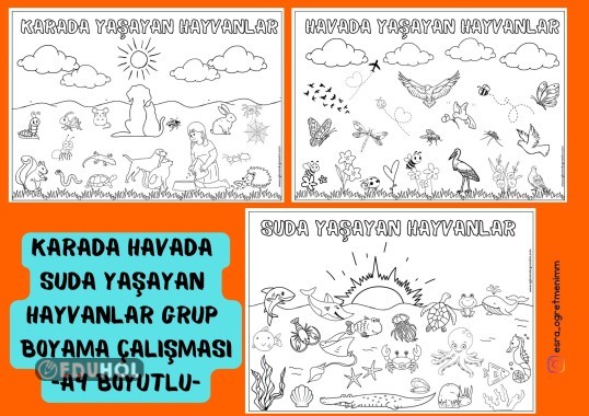 Karada Havada Suda Yaşayan Hay... · Eduhol - Etkinlik İndir Oyun Oyna ...
