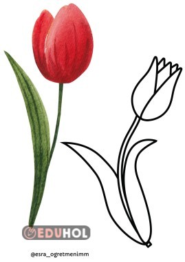 Lale Şablonları · Eduhol - Etkinlik İndir Oyun Oyna Test Çöz Video İzle