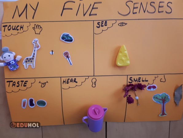 Five Senses · Eduhol - Etkinlik İndir Oyun Oyna Test Çöz Video İzle