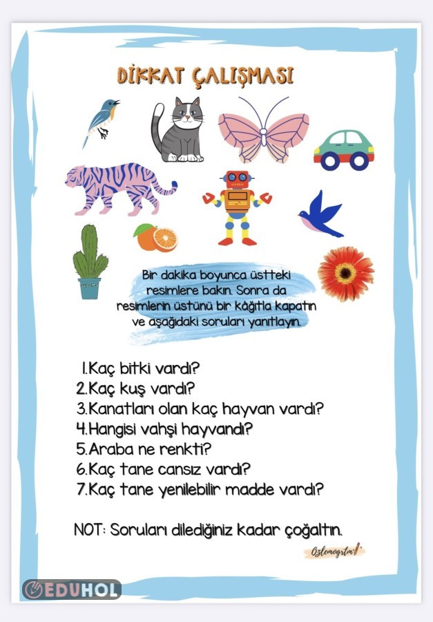 1.Sınıf Dikkat Çalışması | Eduhol - Ders Videoları İzle Online Test Çöz ...