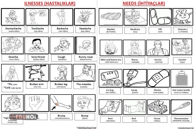 5.5.Health - Words · Eduhol - Etkinlik İndir Oyun Oyna Test Çöz Video İzle