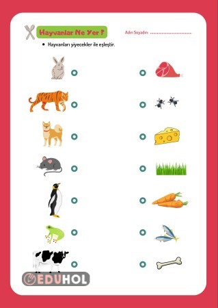 Hayvanlar Ne Yer? · Eduhol - Etkinlik İndir Oyun Oyna Test Çöz Video İzle