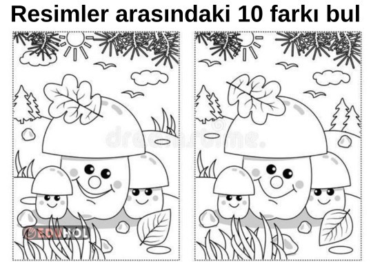 Fark Bulmaca · Eduhol - Etkinlik İndir Oyun Oyna Test Çöz Video İzle