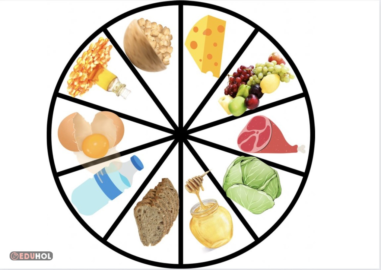 Besin Çarkı | Eduhol - Ders Videoları İzle Online Test Çöz Etkinlik İndir