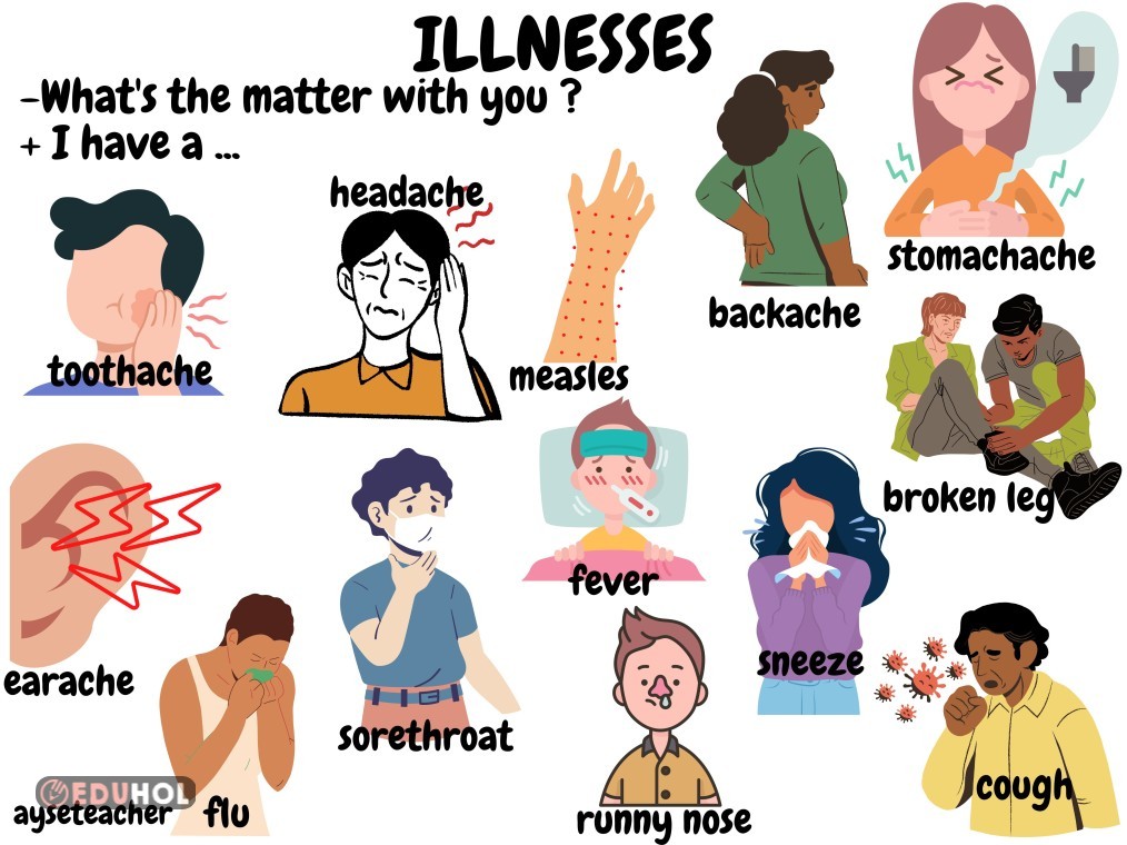 5.5 Health - Illnesses | Eduhol - Ders Videoları İzle Online Test Çöz ...