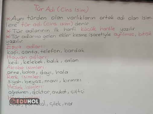Tür Adı (Cins İsim) Ders Notu... · Eduhol - Etkinlik İndir Oyun Oyna ...