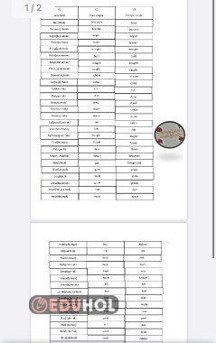 Verb 1.2.3 Hali · Eduhol - Etkinlik İndir Oyun Oyna Test Çöz Video İzle