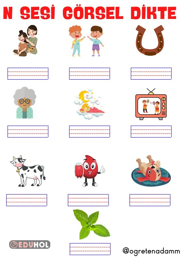 N Sesi Görsel Dikte | Eduhol - Ders Videoları İzle Online Test Çöz ...