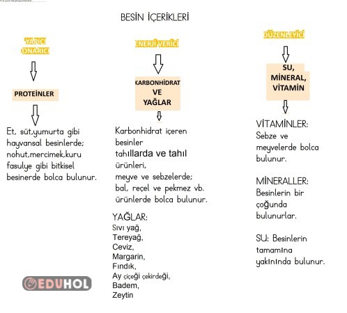 Besin İçerikleri · Eduhol - Etkinlik İndir Oyun Oyna Test Çöz Video İzle