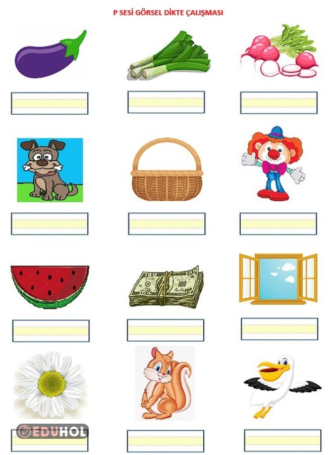 P Sesi Görsel Dikte | Eduhol - Ders Videoları İzle Online Test Çöz ...