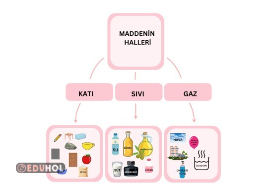 Maddenin Halleri · Eduhol - Etkinlik İndir Oyun Oyna Test Çöz Video İzle