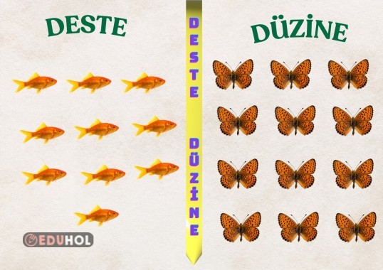 Deste-Düzine Örnek Çalışma... · Eduhol - Etkinlik İndir Oyun Oyna Test ...