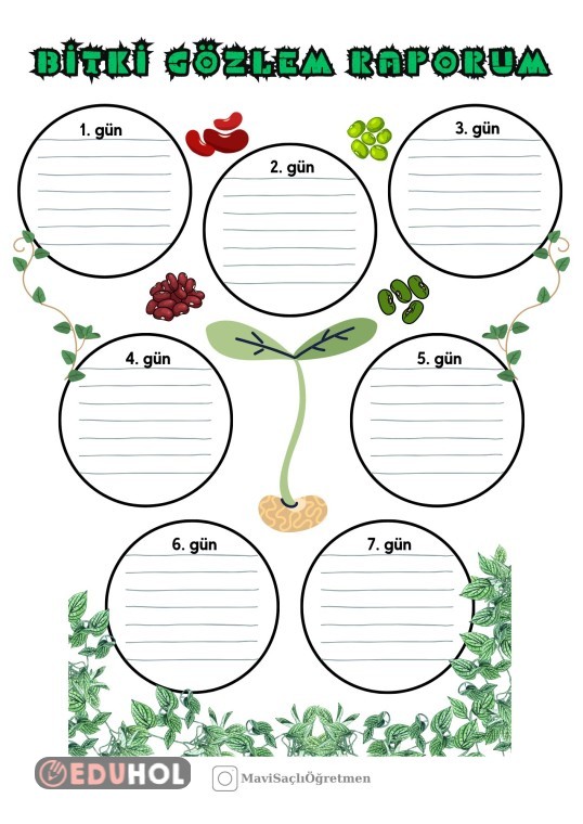 Bitki Gözlem Formu (Renkli) | Eduhol - Ders Videoları İzle Online Test ...