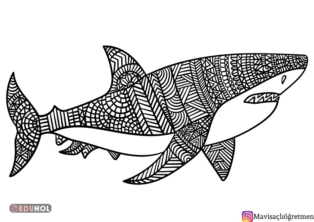 Hayvanlar Mandala Boyama Sayfa... | Eduhol - Ders Videoları İzle Online ...